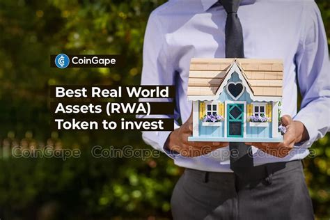 Top RWA Crypto Projects In 2024 Best RWA Projects Reviewed