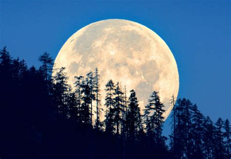 La première super lune de 2023 illuminera le ciel ce soir ipnoze