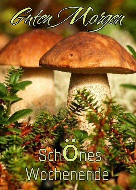 Pin Von Ilona Berndt Auf Wochenende Sch Nes Wochenende Gr E Sch Nes