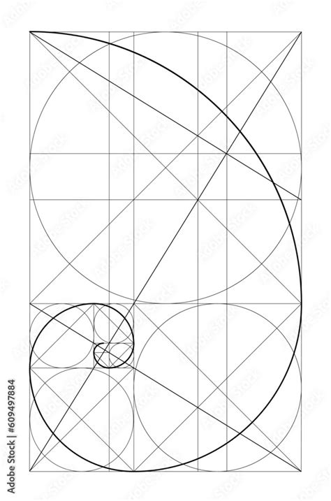 vector golden relationship template golden spiral golden ratio fibonacci array fibonacci