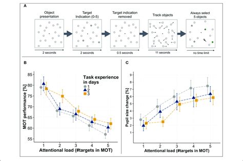 a multiple object tracking mot task trial logic first several download scientific