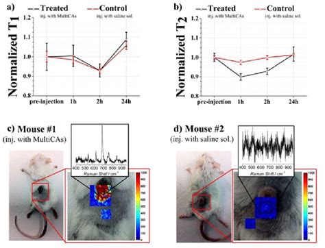 Figure 2 From A SERRS MRI Multimodal Contrast Agent Based On Naked Au