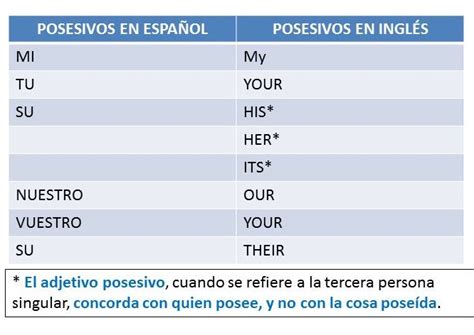 Cuales Son Los Adjetivos Posesivos