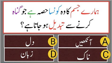 Islamic Common Sense Paheliyan Urdu Mein Urdu Islami Sawalat K Jawab