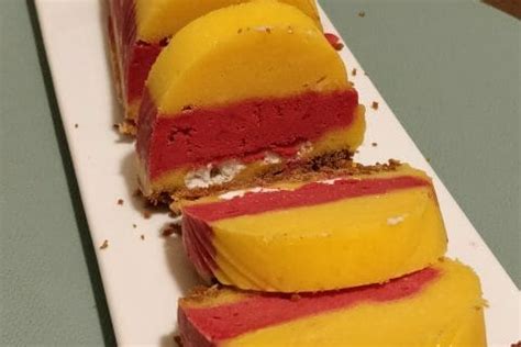Bûche glacée mangue et framboise au Thermomix Cookomix