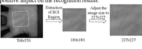 [pdf] palmprint recognition based on convolutional neural network alexnet semantic scholar