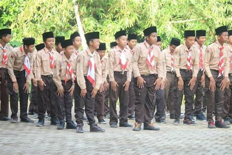 Materi Pramuka Penggalang Dan Nama Tingkatannya Kumparan