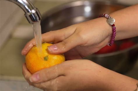 Conoce Los 5 Pasos Para Desinfectar Los Alimentos Y Protegernos Del
