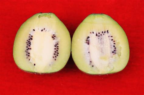 2023 China Xixia Kiwifruit Harvest Festival And Investment Promotion