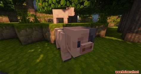 Chestnut Grove Resource Pack 1 18 2 1 17 1 Texture Pack