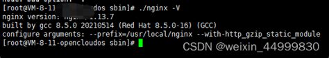 nginx配合vite开启gzip压缩以及各种问题处理 vue3 vite3 gzip 提示 failed to load module script e csdn博客