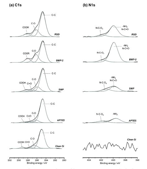Deconvolution Of High Resolution XPS Spectra Of C1s A And N1s B At