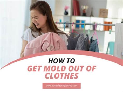 How To Get Mold Out Of Clothes 100 Spotless Guide 2024