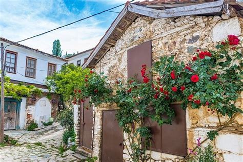 Tripadvisor Tagesausflug Nach Ephesus Von Kusadasi Istanbul Bodrum