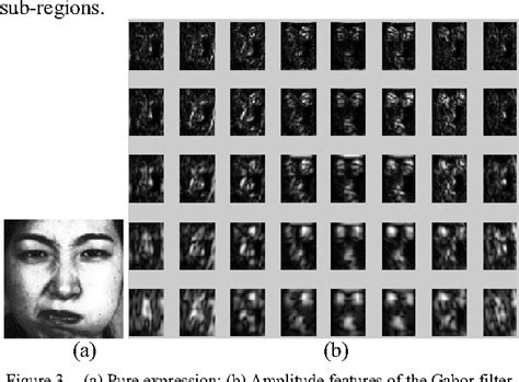 figure 3 from facial expression recognition based on gabor wavelet phase features semantic scholar