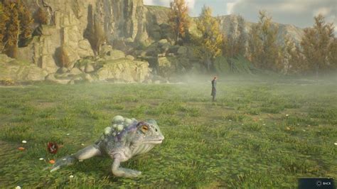 Entdeckt und züchtet alle 13 Tierwesen in Hogwarts Legacy