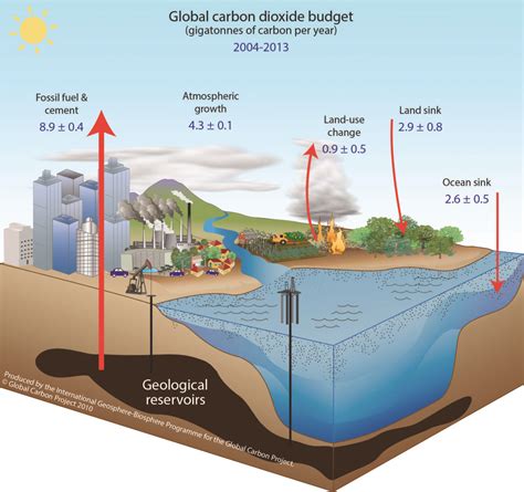 Diagram Of Fossil Fuels