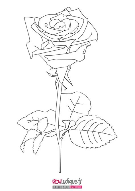 Coloriage Fleur 4 Rose