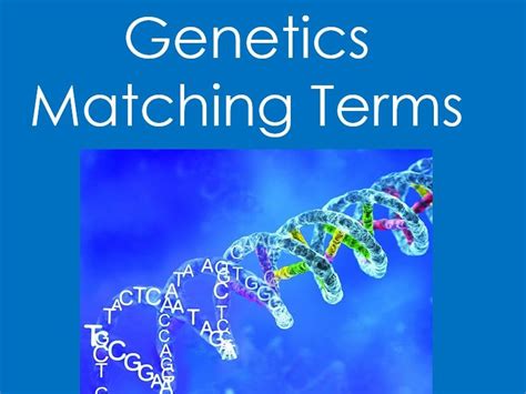Genetics Worksheets And Printables Worksheets Library