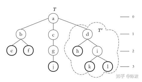 实践 使用python画一棵递归分形树 哔哩哔哩