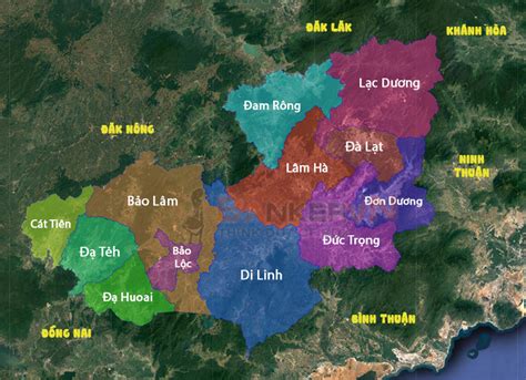 Ban Do Lam Dong Clearance Emergencydentistry