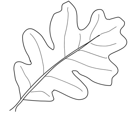 Dibujos de Hojas para colorear 90 Imágenes para niños