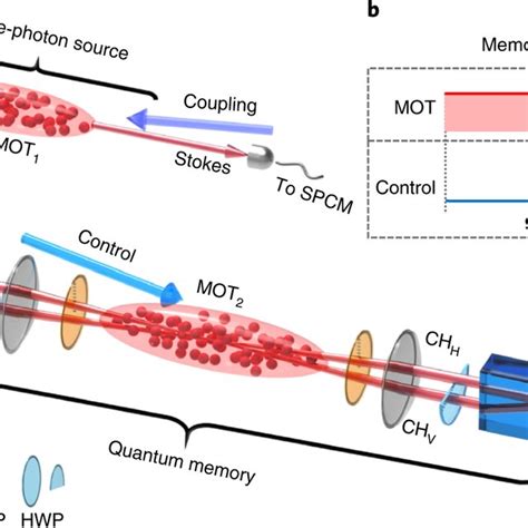 quantum memory for single photon polarization qubits a d the quantum download scientific