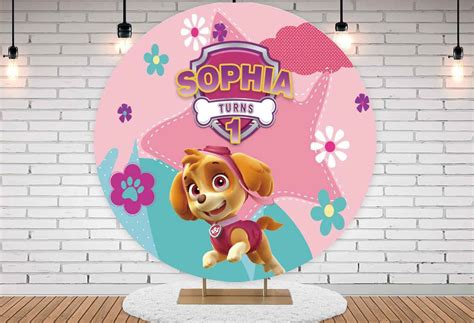 100 Skye Paw Patrol Wallpapers Wallpapers