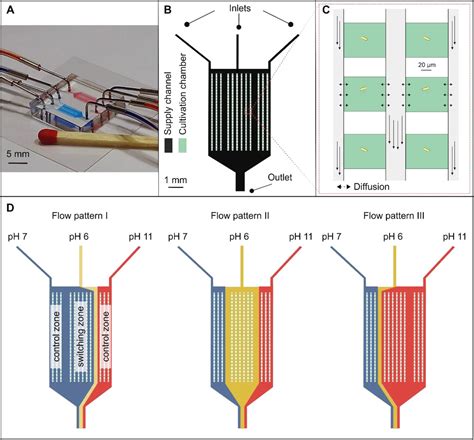 Microfluidic Devices Microfluidic Systems Bioz