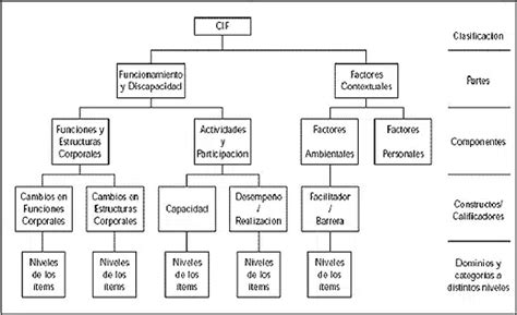 Cuáles son los tipos de discapacidad más comunes Deusto Salud