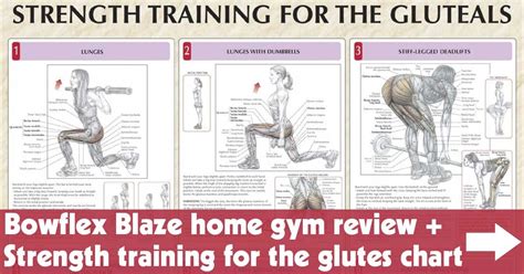 Bowflex Blaze Home Gym Review Strength Training For The Glutes Chart