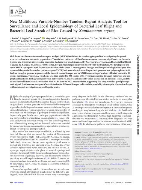 pdf new multilocus variable number tandem repeat analysis tool for surveillance and local