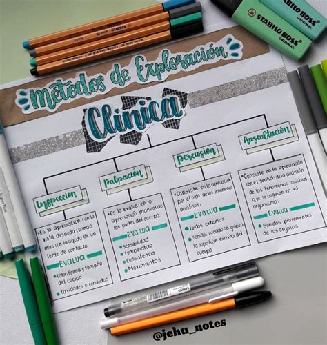 Mapas Conceptuales Bonito Maena