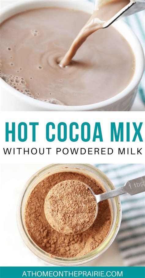 Homemade Hot Cocoa Mix Without Dry Powdered Milk Recipe Homemade