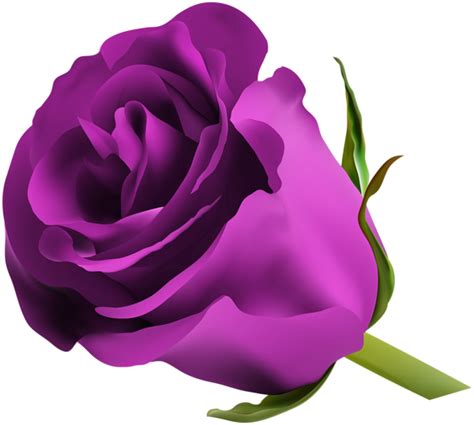 Violet Flower PNG Image PNG All