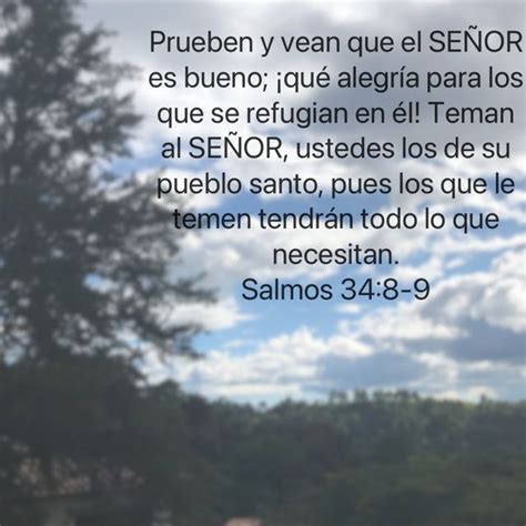 Salmos 34 8 9 Prueben y vean que el SEÑOR es bueno qué alegría para