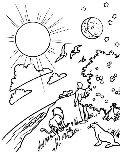 Ficha De La Creacion De Dios Para Imprmir Y Colorear Material Para