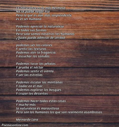 5 Mejores Poemas Sobre La Naturaleza Y Ser Humano Poemas Online