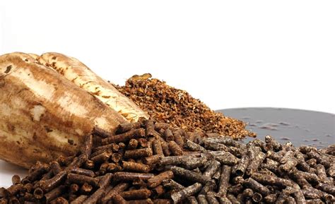 Les coproduits de la betterave et de la canne à sucre Cultures sucre