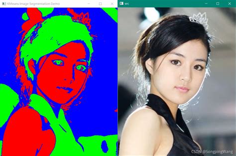 opencv cpp 系列（卌八）聚类与图像分割（ kmeans） 用c 和opencv实现层次聚类算法 csdn博客