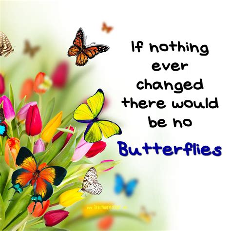 If Nothing Ever Changes There Would Be No Butterflies Brainworks