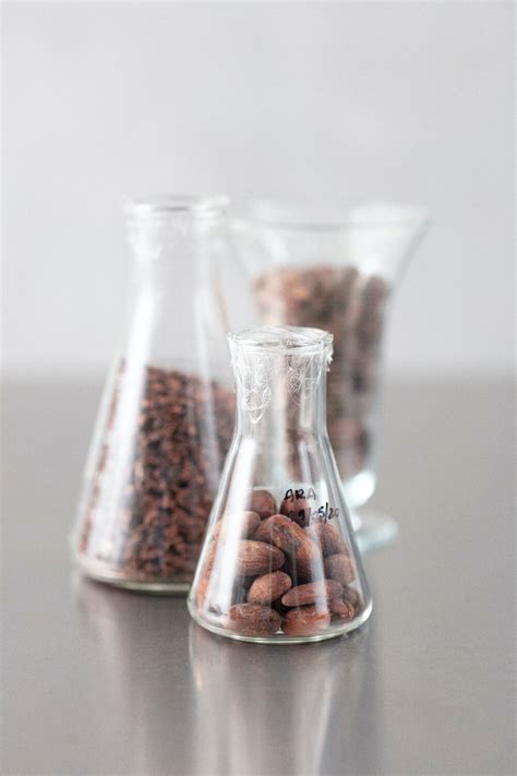 Mentoria Bean To Bar Executiva E Sensorial Ara Cacao Especialistas