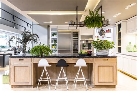 Diferentes Tipos De Techo Para La Cocina Murelli Cucine