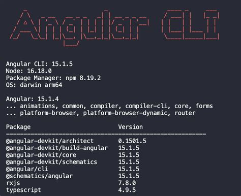 how to check angular version installed on your computer sebhastian