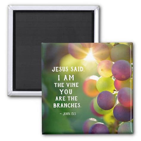 John 15 5 I Am The Vine You Are The Branches Jesus Magnet Zazzle