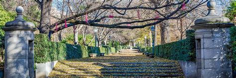 Real Jardín Botánico Horario precio y ubicación en Madrid