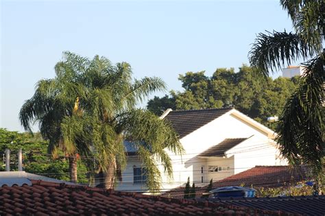 CANOAS Moradores reclamam de forte cheiro de fumaça Saiba o motivo