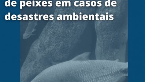 Arquivos Plano Nacional de Contingência de Desastres em Massa