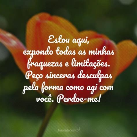 40 frases de desculpas para WhatsApp que vão inspirar o perdão
