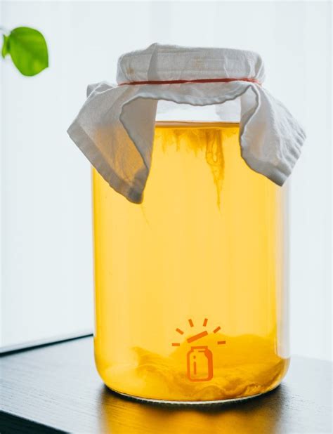 Comment choisir son équipement pour kombucha Révolution Fermentation